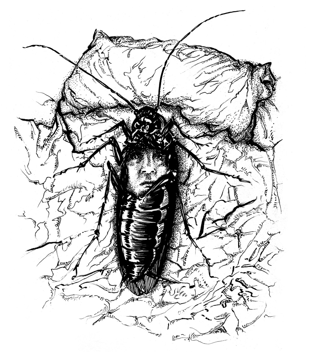 Excerpt: The Metamorphosis by Franz Kafka | Flashbytes